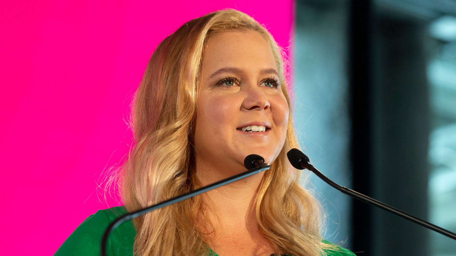 Amy Schumer's 'Ozempic Face' Is Undeniable In These Side-By-Side Pics