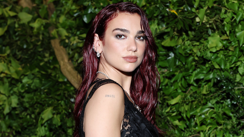 The Best Picks From Dua Lipa's Book Club, Service95