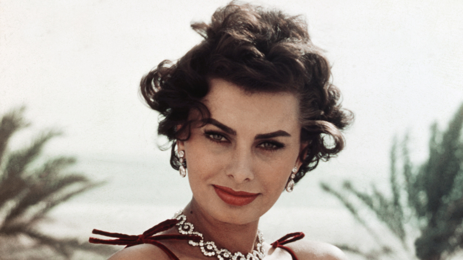 'Do Not Feel Guilty About Doing This': Sophia Loren's Spa Night Advice ...