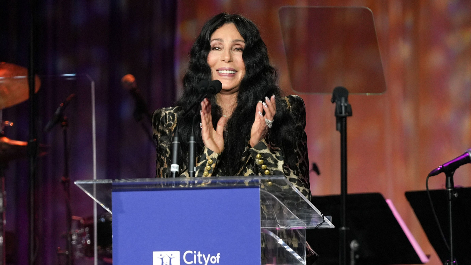 Iconic Cher Hair Looks We'll Never Forget