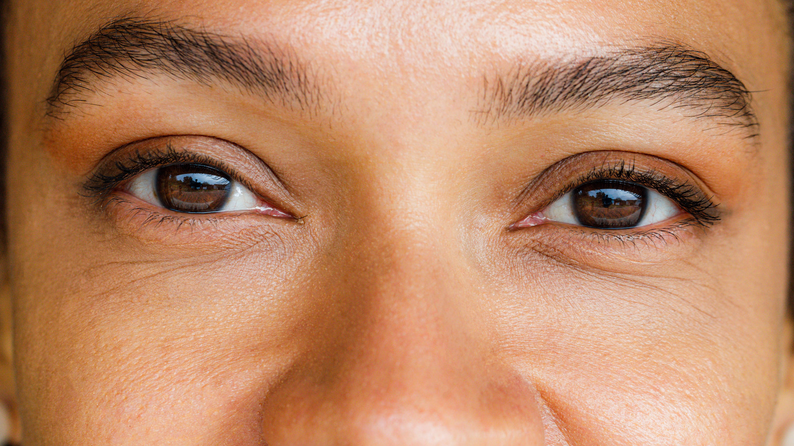 The Best Ways To Regrow Your Over-Tweezed Eyebrows