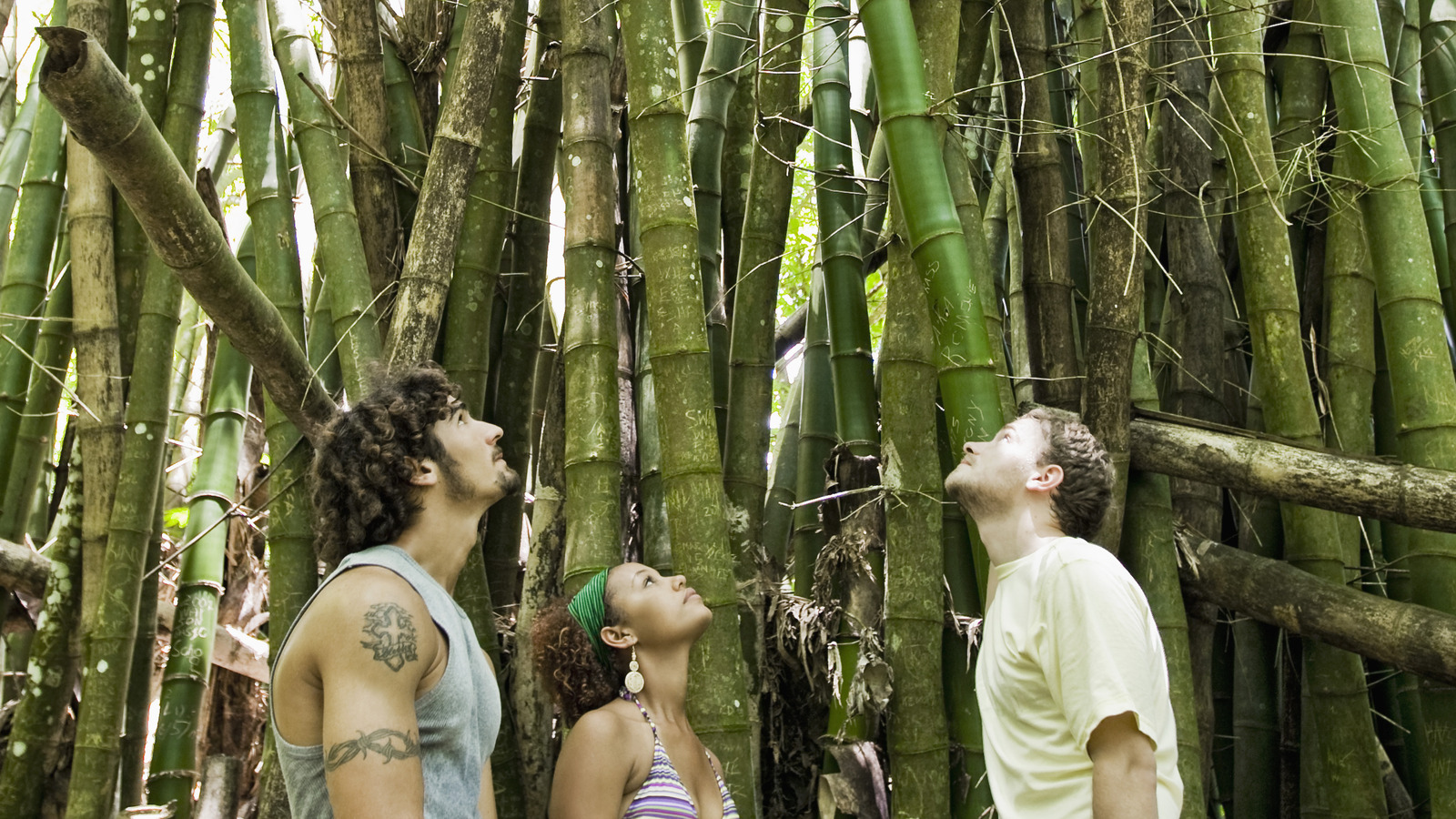 Why Summer Is The Perfect Time To Invest In Bamboo-Based Clothing